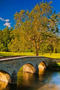 Contact Us - Stonebridge Financial Group